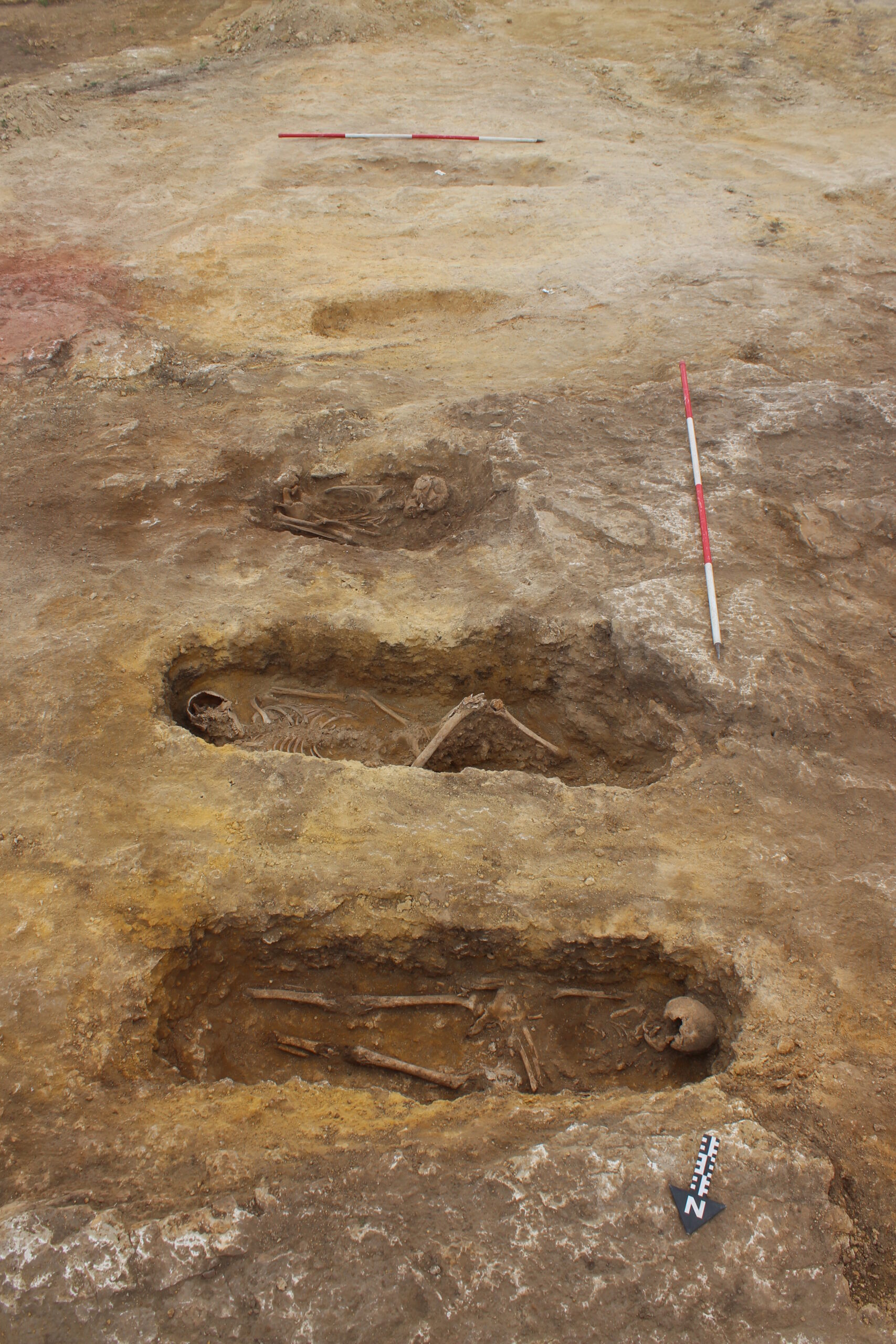 Bishop Middleham Quarry webpage now live! - Archaeological Research ...